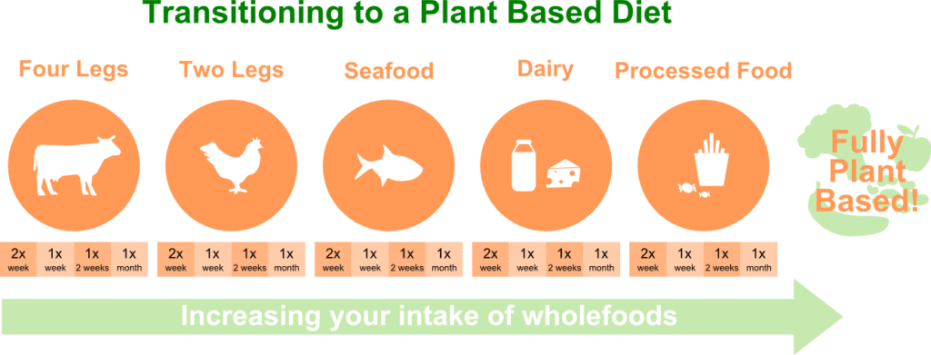 The Plant-Based Diet [Step-by-Step Guide] | No Meat Athlete