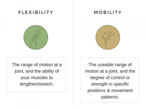 Move Like a Ninja: The Beginner's Guide to Developing Mobile Joints ...