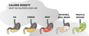 Calorie Density for Weight Loss | No Meat Athlete