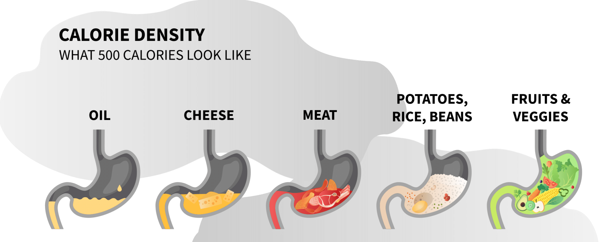 Calorie Density for Weight Loss | No Meat Athlete